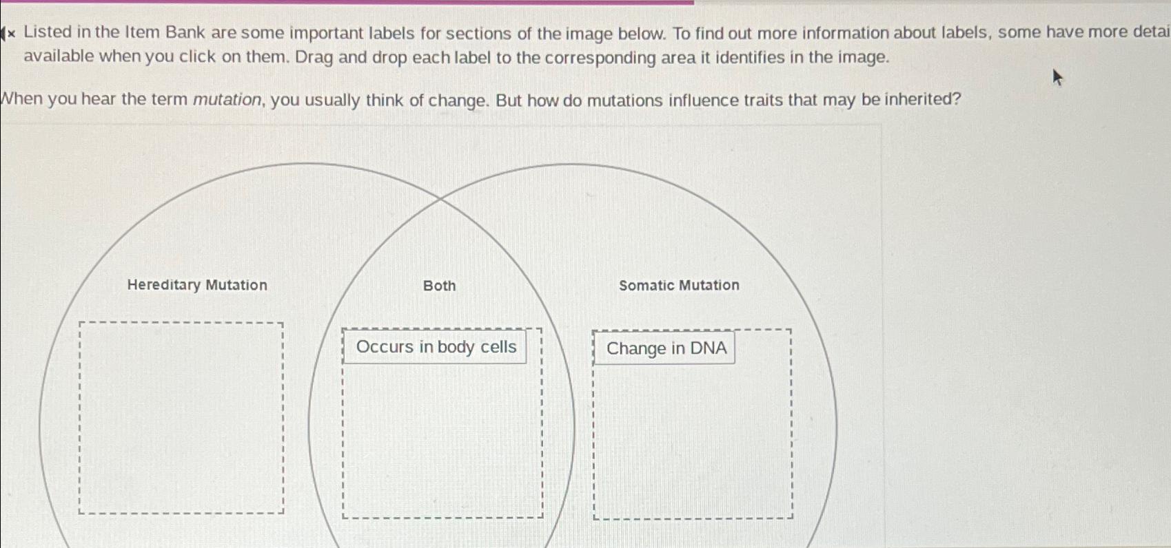 Solved Listed in the Item Bank are some important labels for | Chegg.com