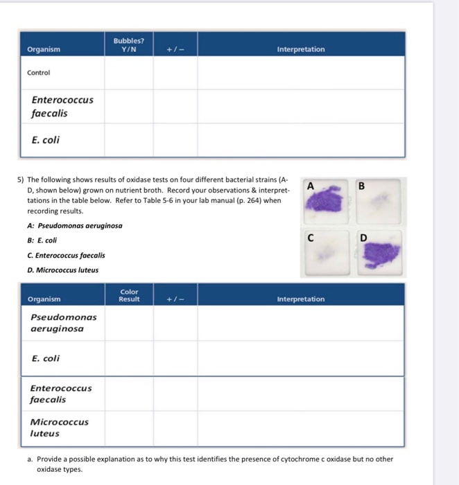 Solved 3) The following shows results of MRVP tests on two | Chegg.com