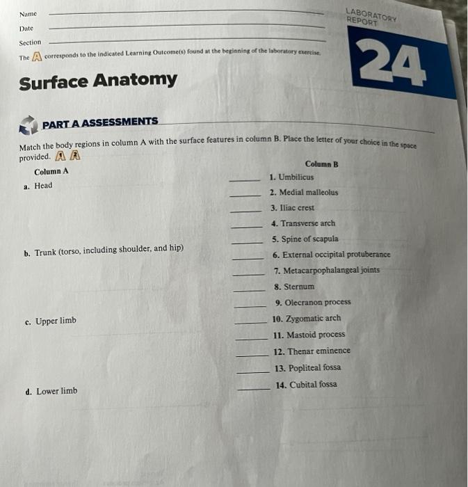 Solved Name LABORATOACY Date Section The A corresponds to | Chegg.com