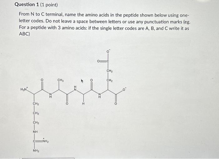 Solved From N to C terminal, name the amino acids in the | Chegg.com