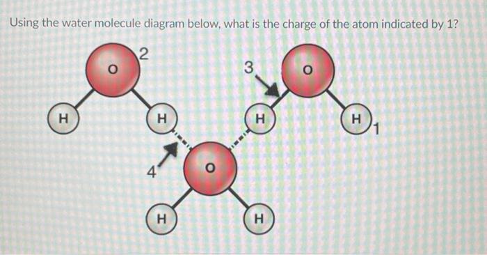 Solved Using the water molecule diagram below, what is the | Chegg.com