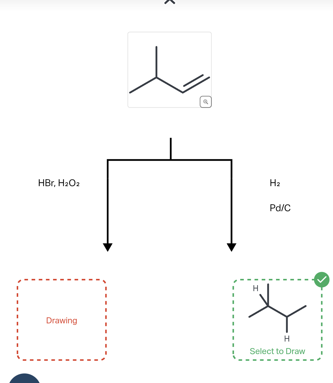Solved A common alkene starting material is shown below. | Chegg.com