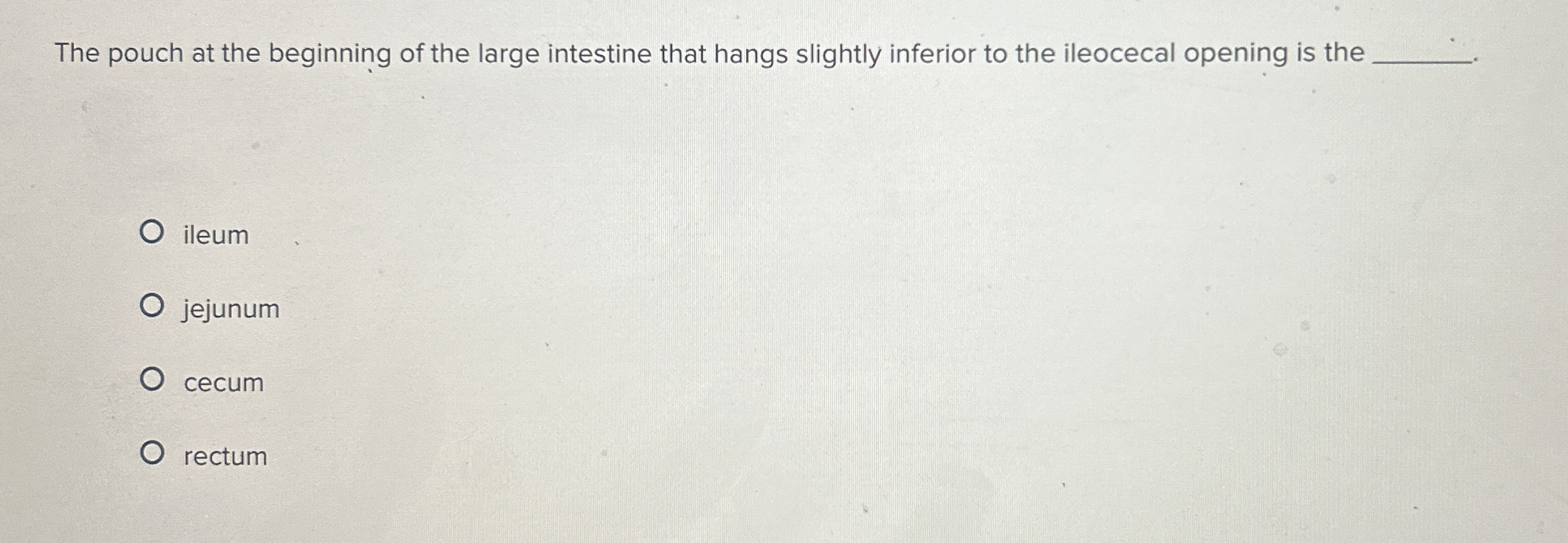 Solved The pouch at the beginning of the large intestine | Chegg.com