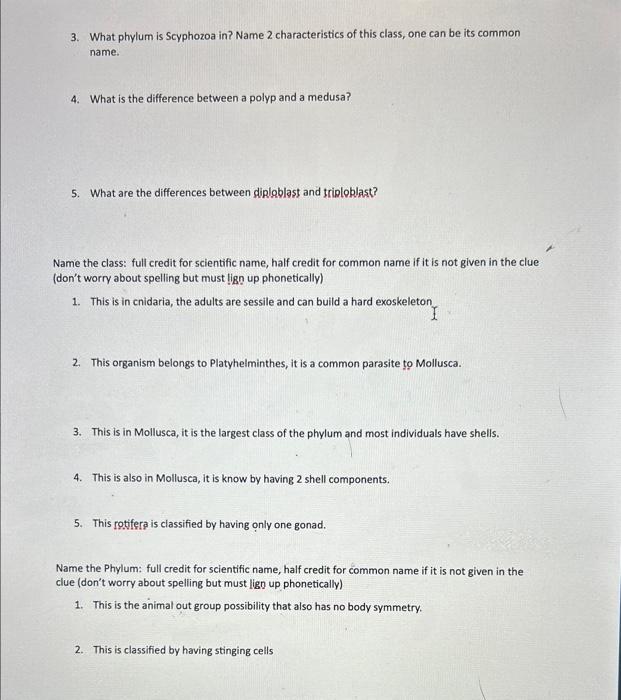Solved 3. What phylum is Scyphozoa in? Name 2 | Chegg.com
