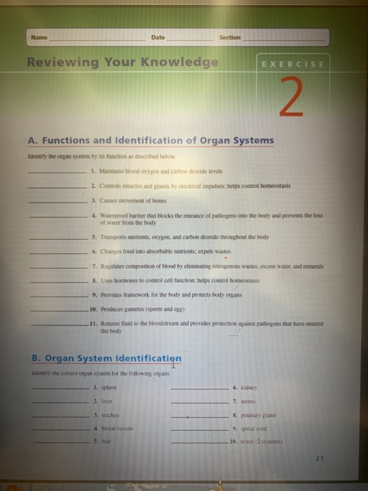 Solved Section Reviewing Your Knowledge EXERCISE A. | Chegg.com