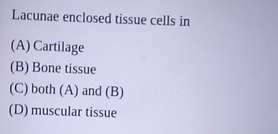 Solved Lacunae enclosed tissue cells in(A) ﻿Cartilage(B) | Chegg.com