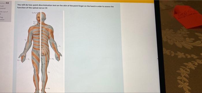 Solved 48 You will do two-point discrimination test on the | Chegg.com
