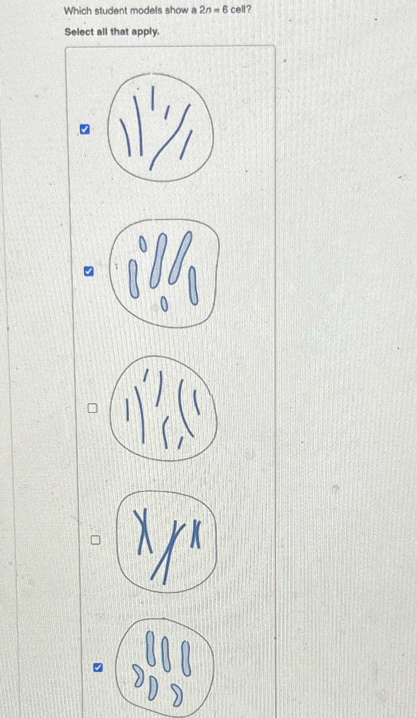 Solved Which student models show a 2n=6 ﻿cell?Select all | Chegg.com