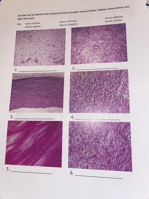 Solved Please fill in the blanks | Chegg.com