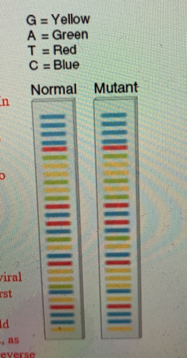 Solved 12. DNA sequencing can help us to identify mutations | Chegg.com