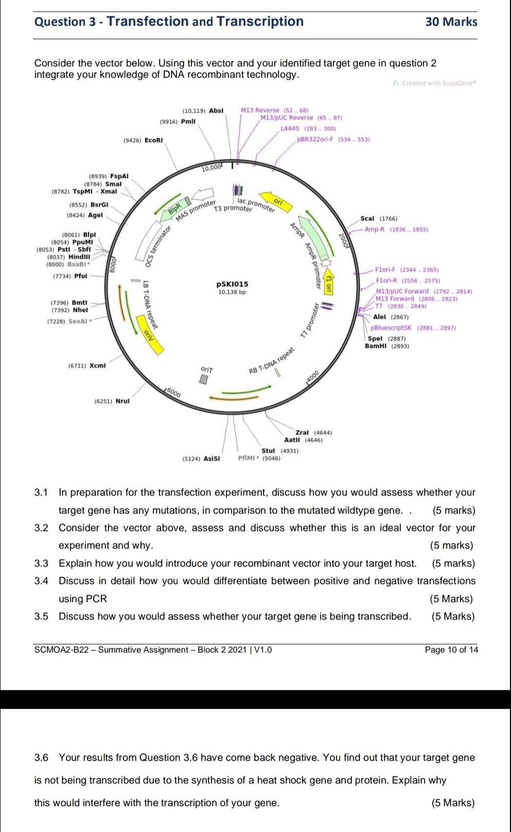 Solved the target gene is STRC gene the target gene is | Chegg.com