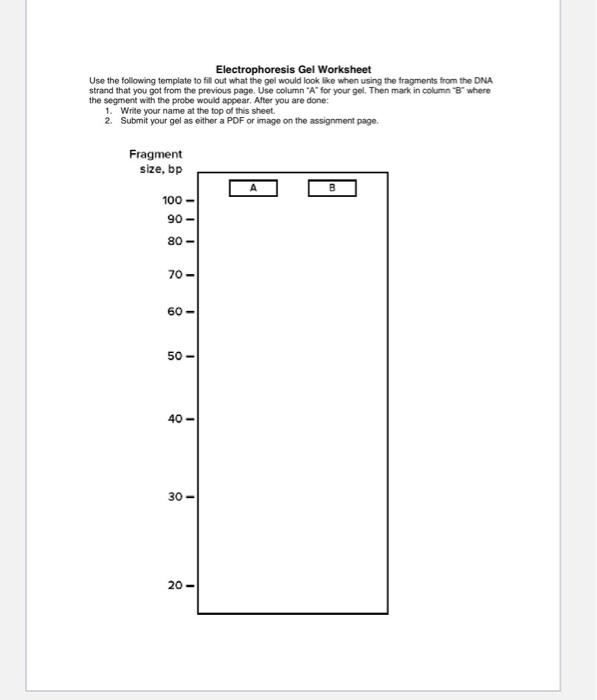 Solved DNA worksheet The concept of this exercise is to gain | Chegg.com