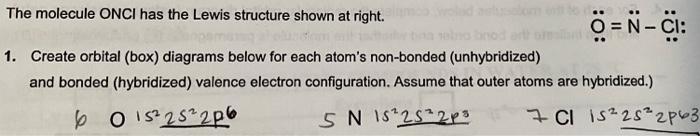 Solved The molecule ONCI has the Lewis structure shown at | Chegg.com