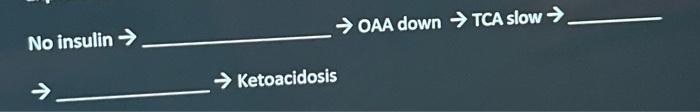 Solved ⇒ OAA down → TCA slow → No insulin → ⇒ → Ketoacidosis | Chegg.com
