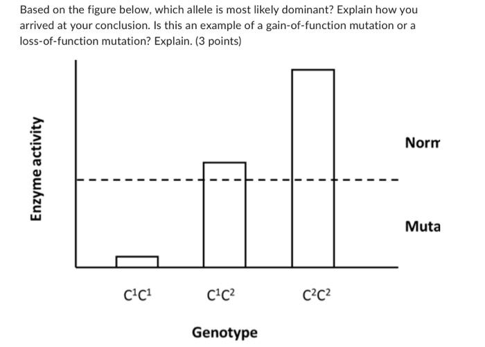 Solved Based on the figure below, which allele is most | Chegg.com