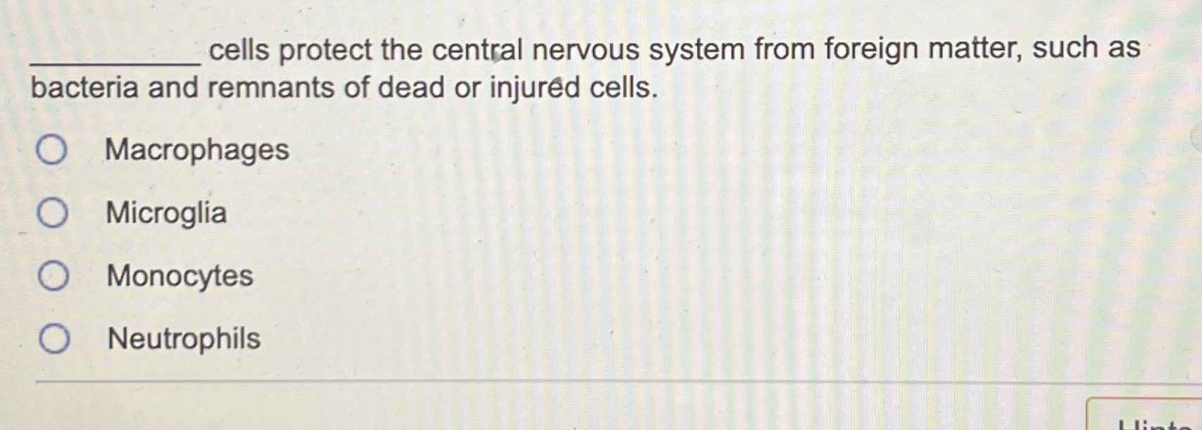 Solved cells protect the central nervous system from foreign | Chegg.com