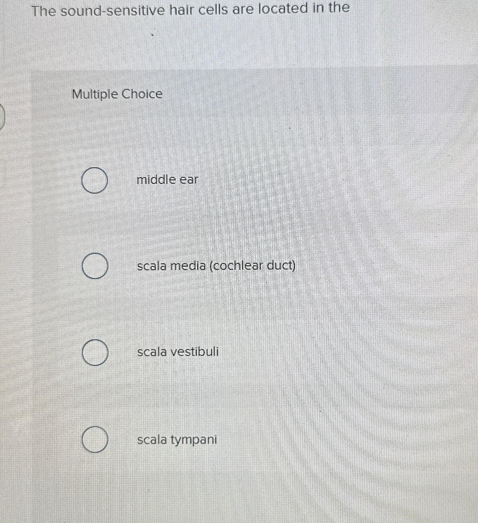 Solved The sound-sensitive hair cells are located in | Chegg.com