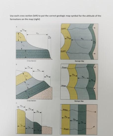 Solved Use each cross section (left) to put the correct | Chegg.com