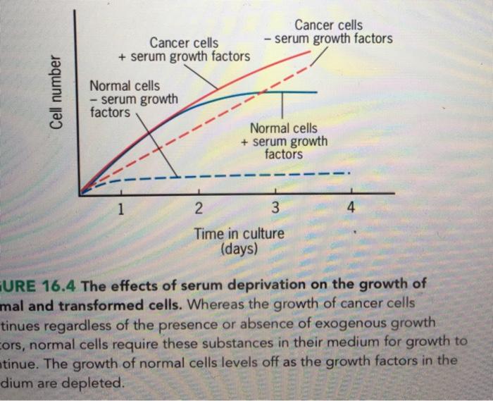 Solved 18. Refer to Figure 16.4. (8 marks) a. What cells and | Chegg.com