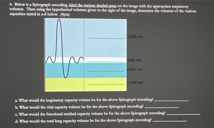 Solved 4. Below is a Spirograph recording, label the various | Chegg.com