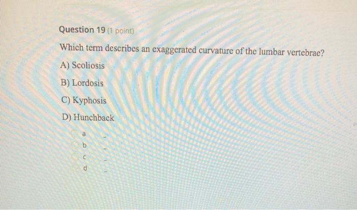 Solved Question 19 (1 point) Which term describes an | Chegg.com