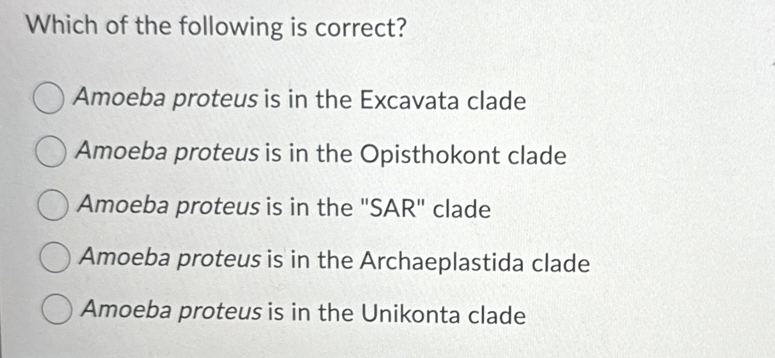 Solved Which of the following is correct?Amoeba proteus is | Chegg.com