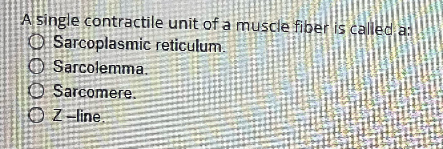 Solved A single contractile unit of a muscle fiber is called | Chegg.com