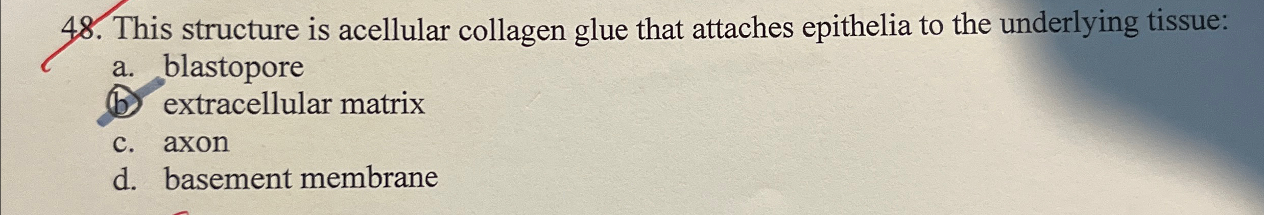Solved This structure is acellular collagen glue that | Chegg.com