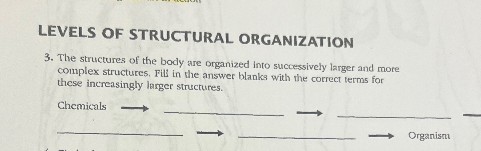 Solved LEVELS OF STRUCTURAL ORGANIZATION3. ﻿The structures | Chegg.com