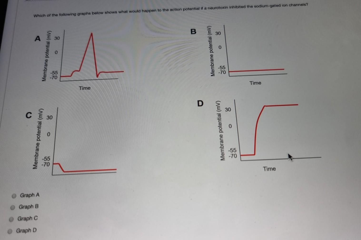 Solved Which of the following graphs below shows what would | Chegg.com