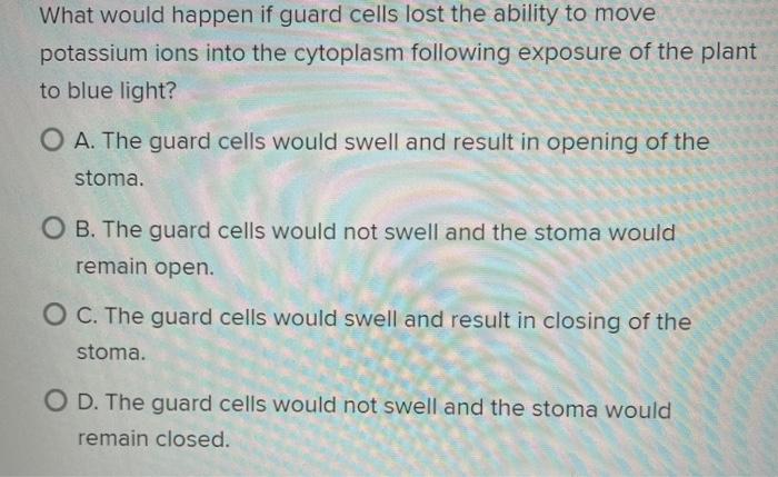 Solved What would happen if guard cells lost the ability to | Chegg.com