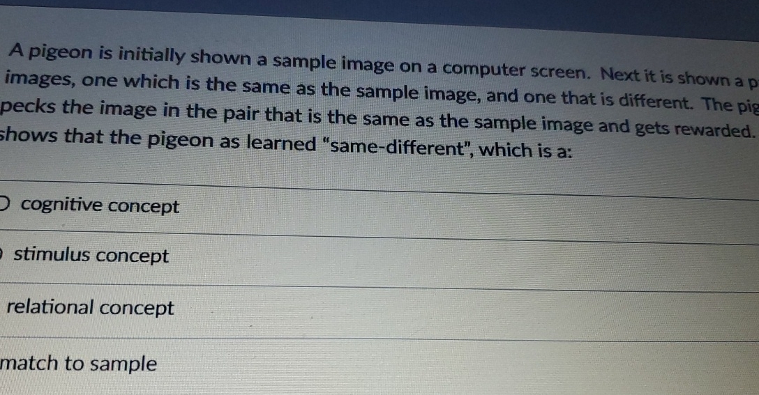 Solved A pigeon is initially shown a sample image on a | Chegg.com