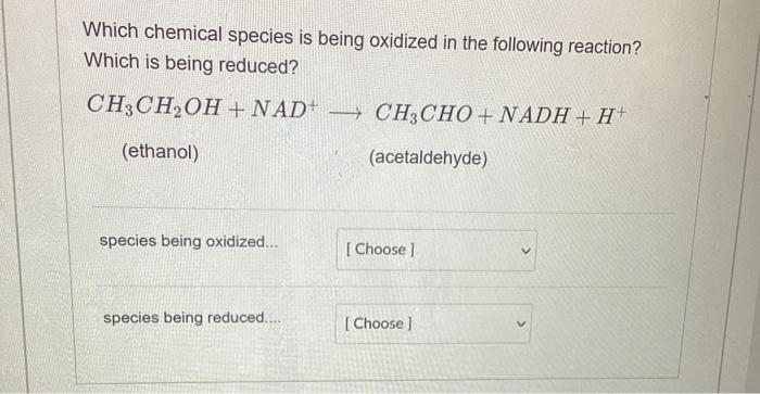 Solved Which chemical species is being oxidized in the | Chegg.com