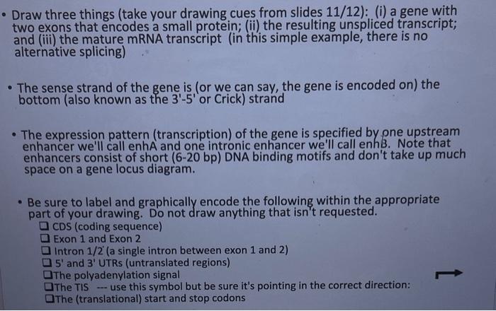 Draw three things (take your drawing cues from slides | Chegg.com