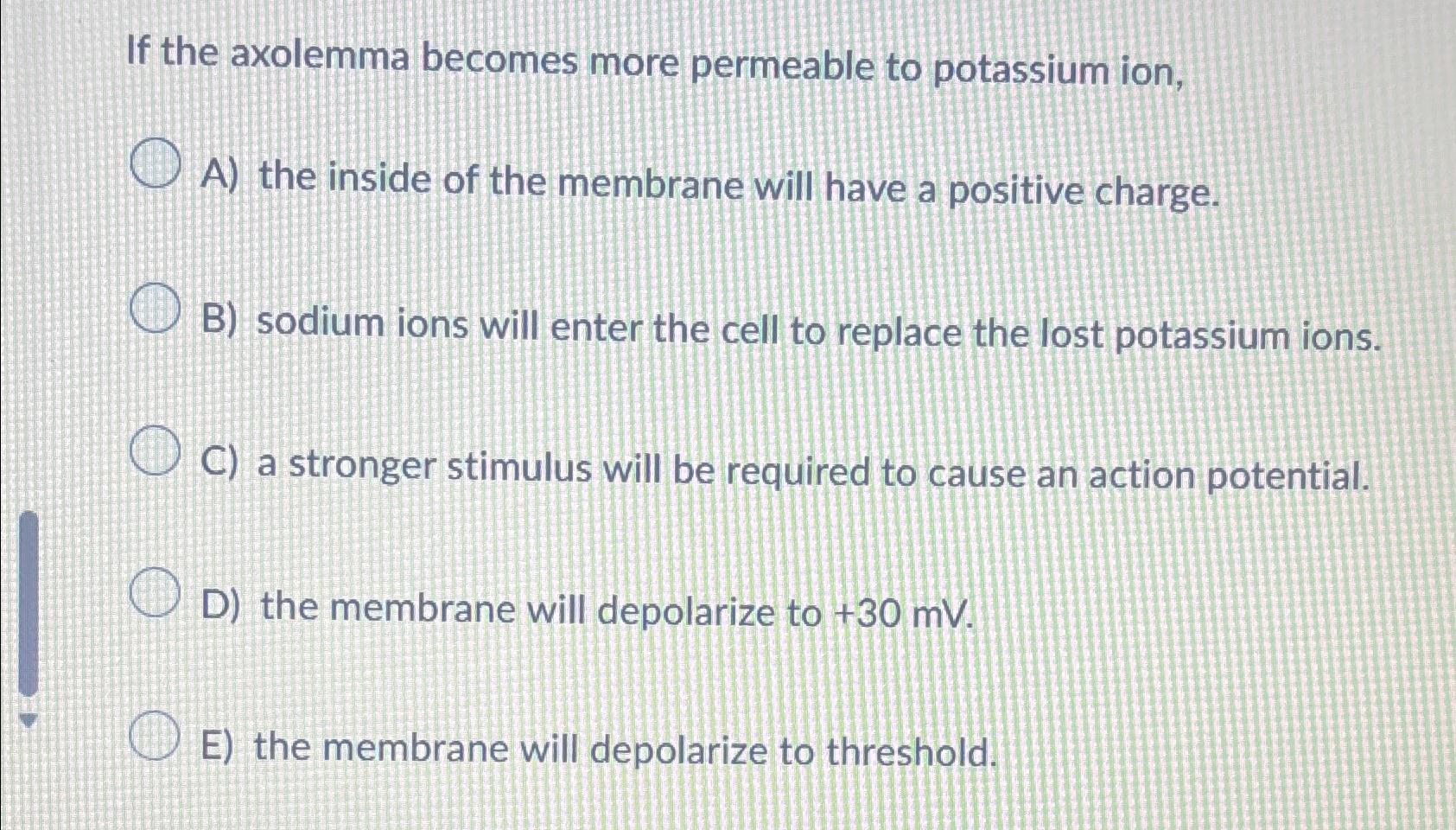 Solved If the axolemma becomes more permeable to potassium | Chegg.com