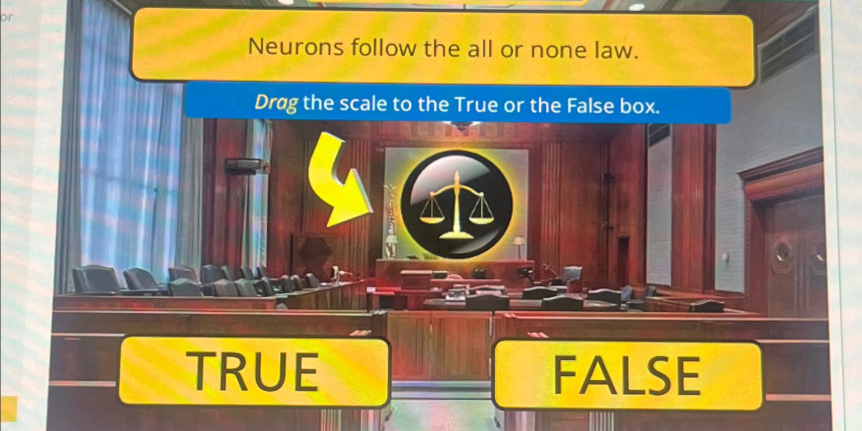 Solved Neurons follow the all or none law.Drag the scale to | Chegg.com