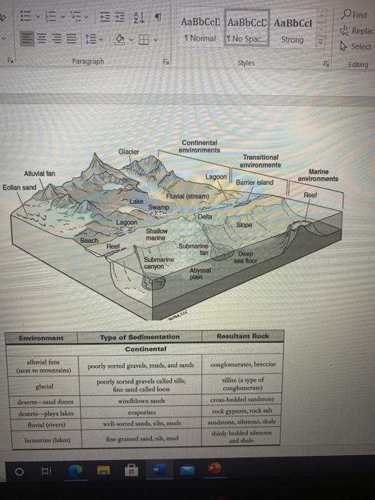 Solved Paragraph Styles Editing Use the Lessons, your text, | Chegg.com