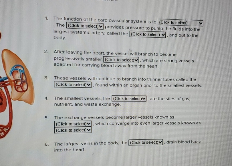 Solved The function of the cardiovascular system is to | Chegg.com