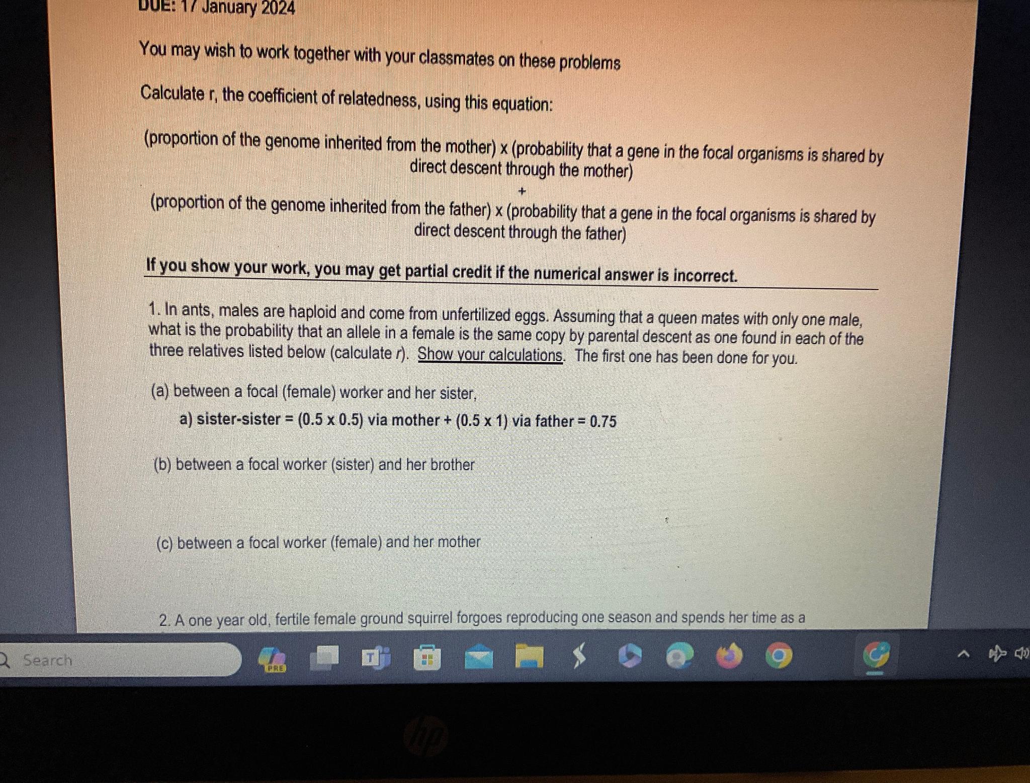 Solved UUE: 1 / ﻿January 2024You may wish to work together | Chegg.com