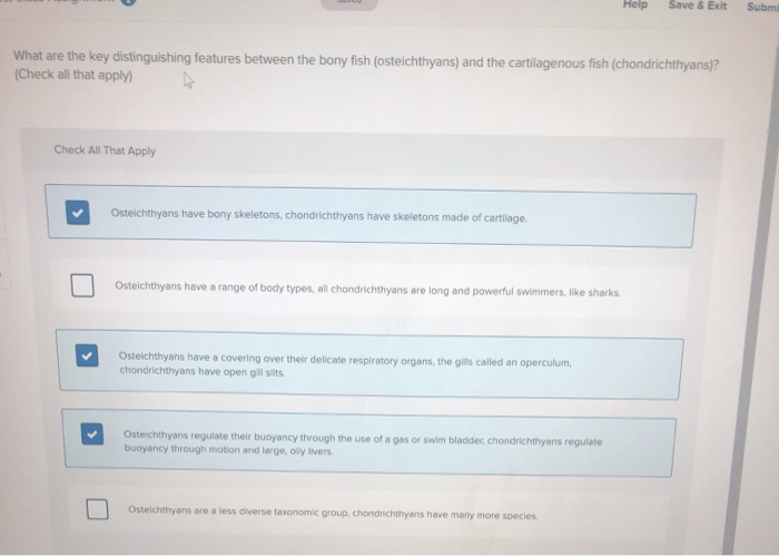 Solved Help Save & Exit Submi What are the key | Chegg.com