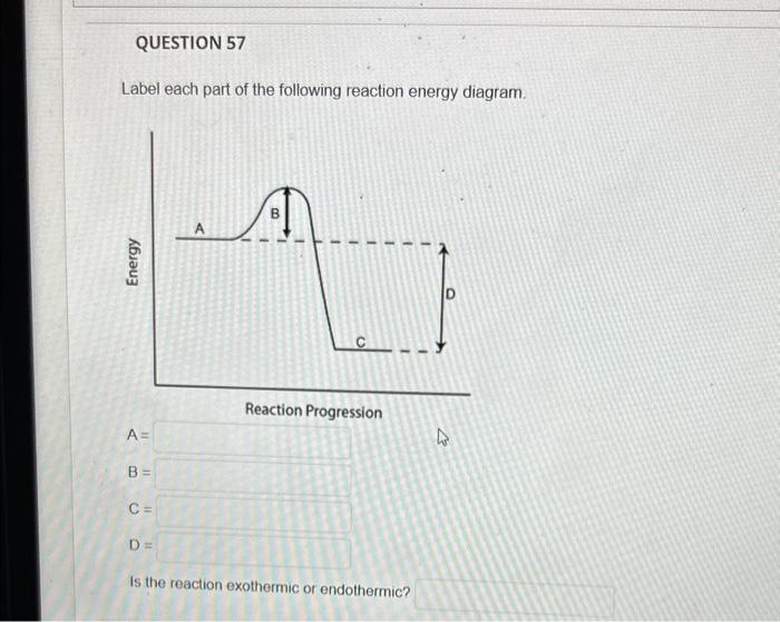 Solved Label each part of the following reaction energy | Chegg.com