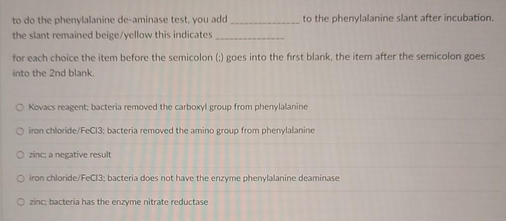 Solved to the phenylalanine slant after incubation. to do | Chegg.com