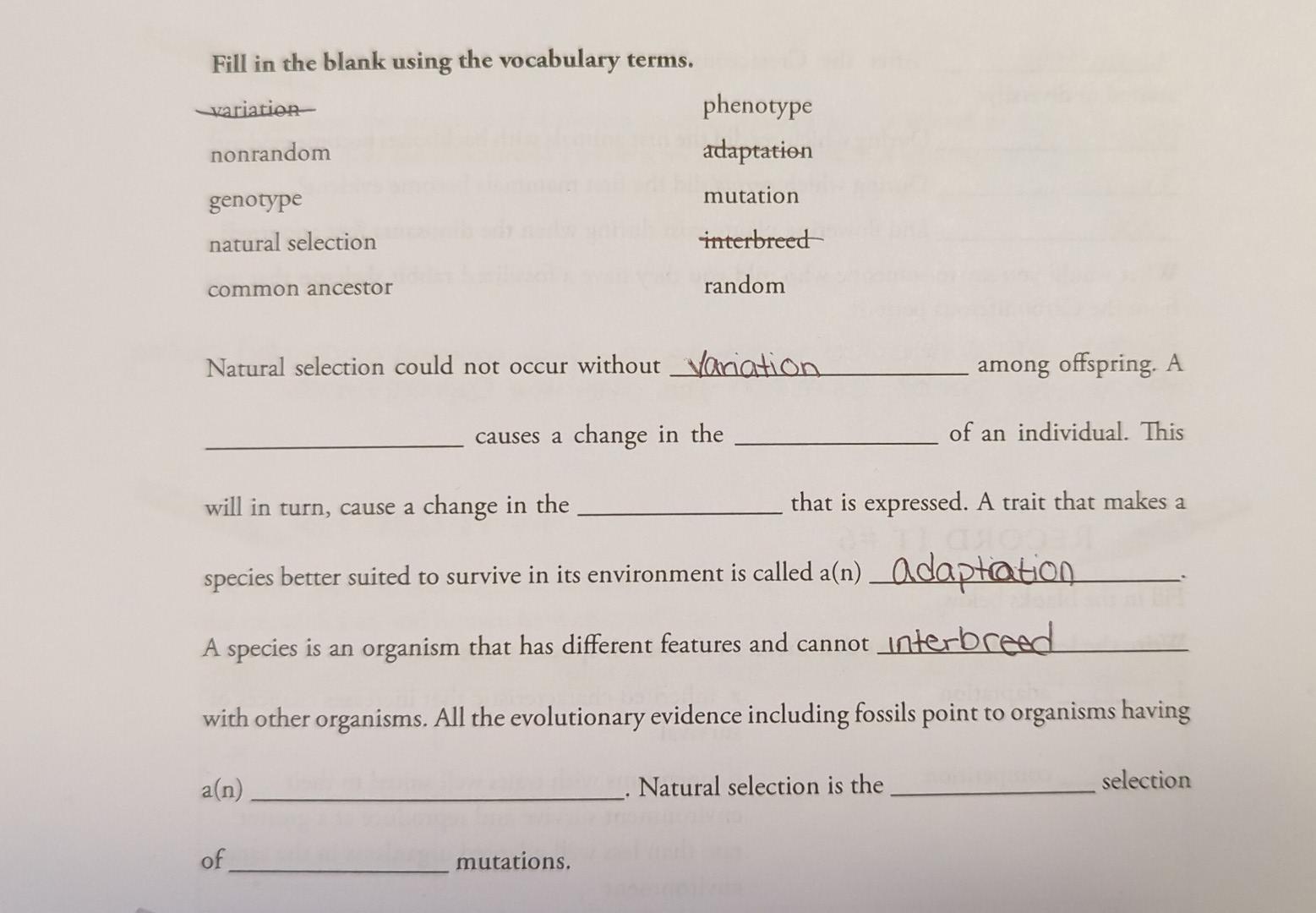 Solved using the vocabulary terms. phenotype adaptation | Chegg.com
