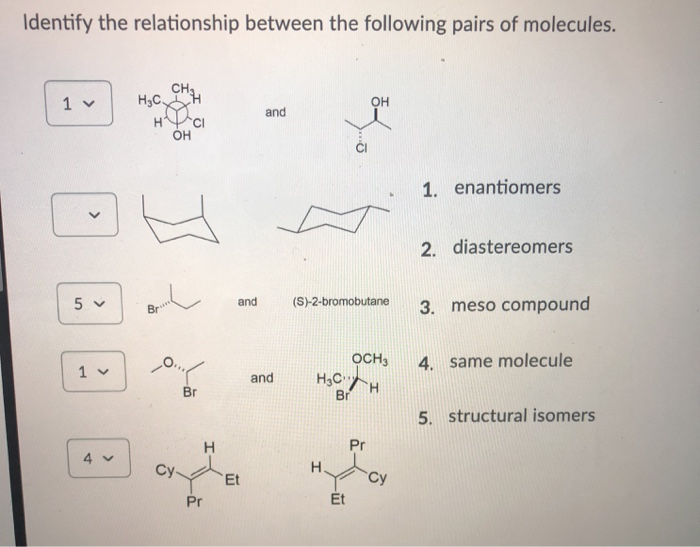 Solved Identify the relationship between the following pairs | Chegg.com