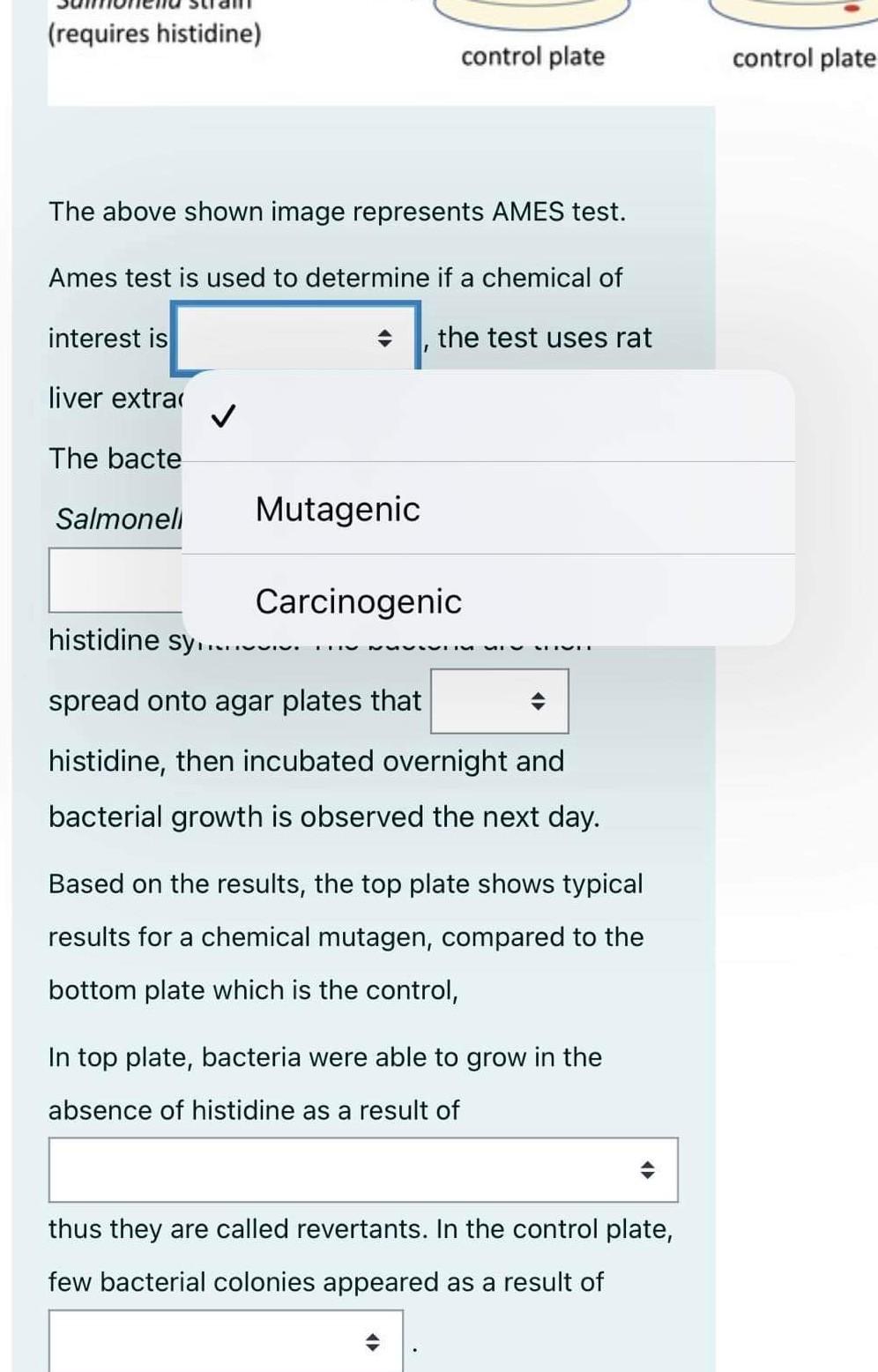 Solved The above shown image represents AMES test. Ames test | Chegg.com
