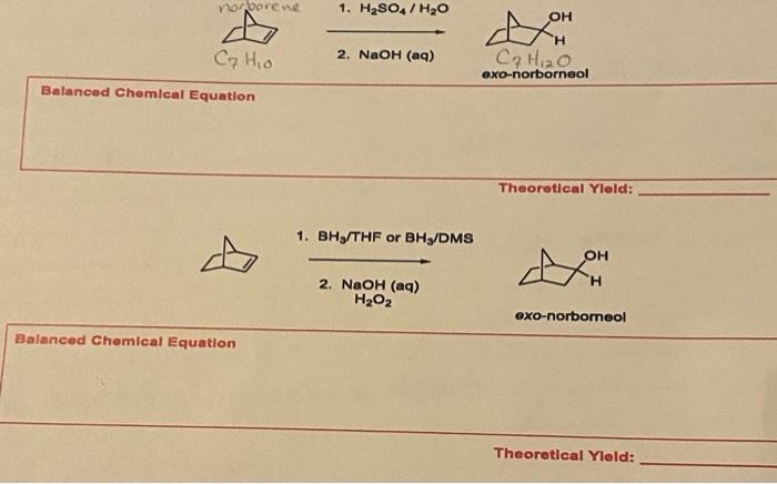 Solved Norborene 1. H280,/ H2O OH C7 Hio 2. NaOH (aq) Ca H2O | Chegg.com