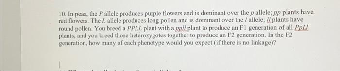 Solved 10. In peas, the P allele produces purple flowers and | Chegg.com