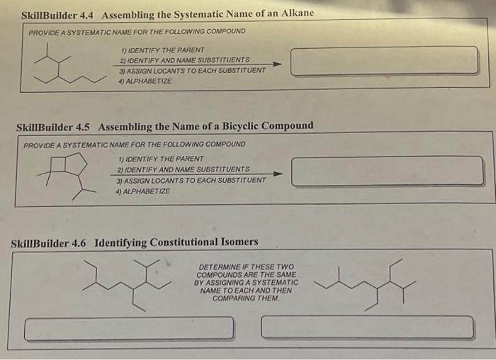 Solved SkillBuilder 4.4 Assembling the Systematic Name of an | Chegg.com