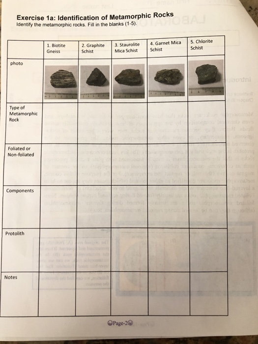 Solved Exercise 1a: Identification of Metamorphic Rocks | Chegg.com