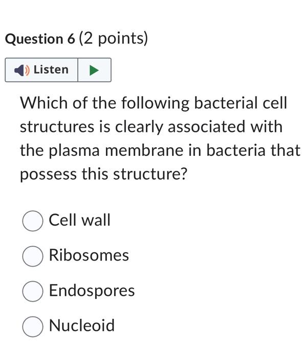 Solved Question 6 (2 points) Which of the following | Chegg.com